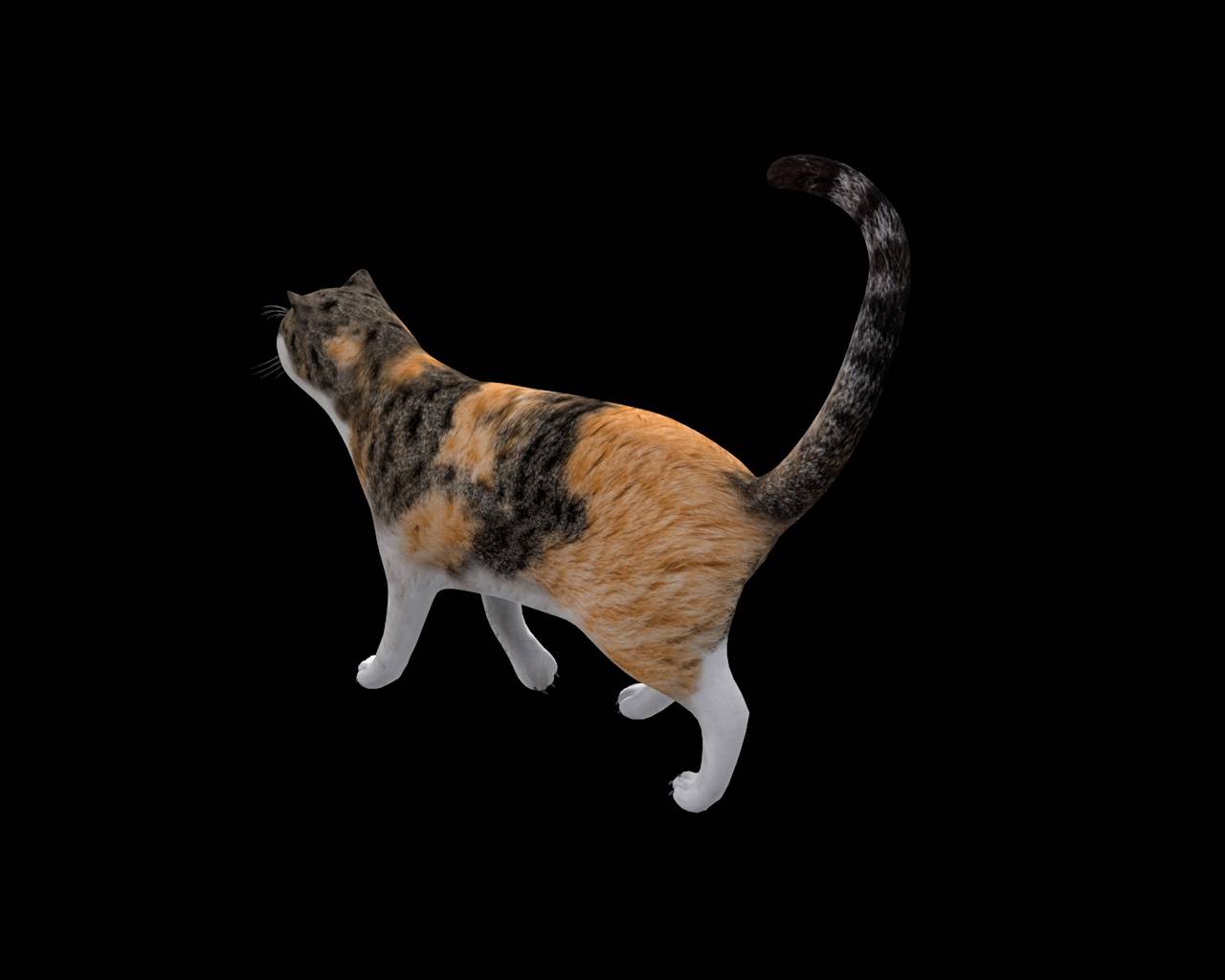 Calico Cat - 3D Model by 3dstudio