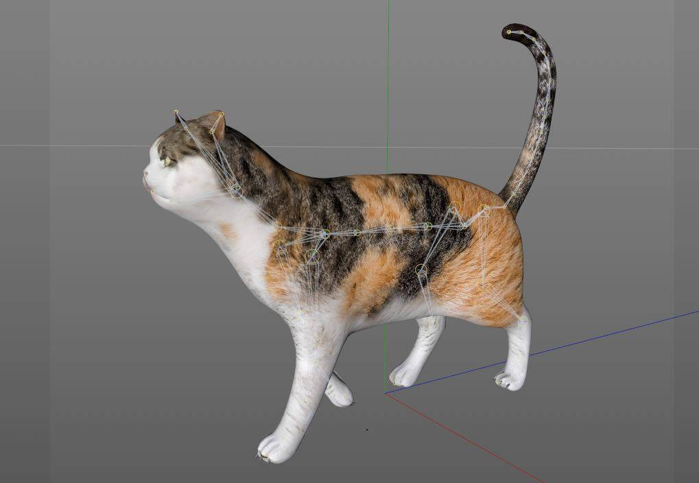 Calico Cat - 3D Model by 3dstudio