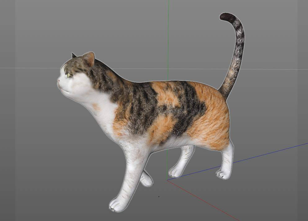 Calico Cat - 3D Model by 3dstudio