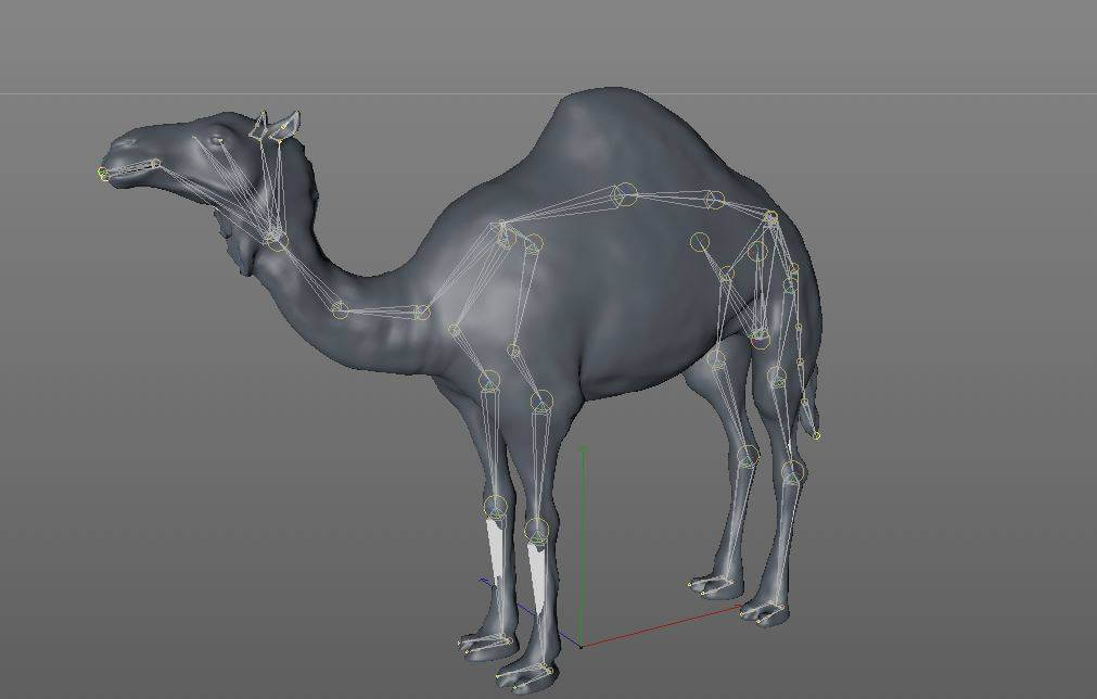 Camel - 3D Model by 3dstudio