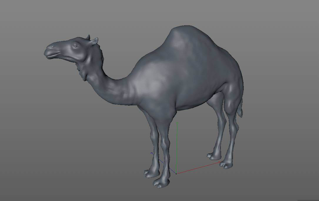 Camel - 3D Model by 3dstudio