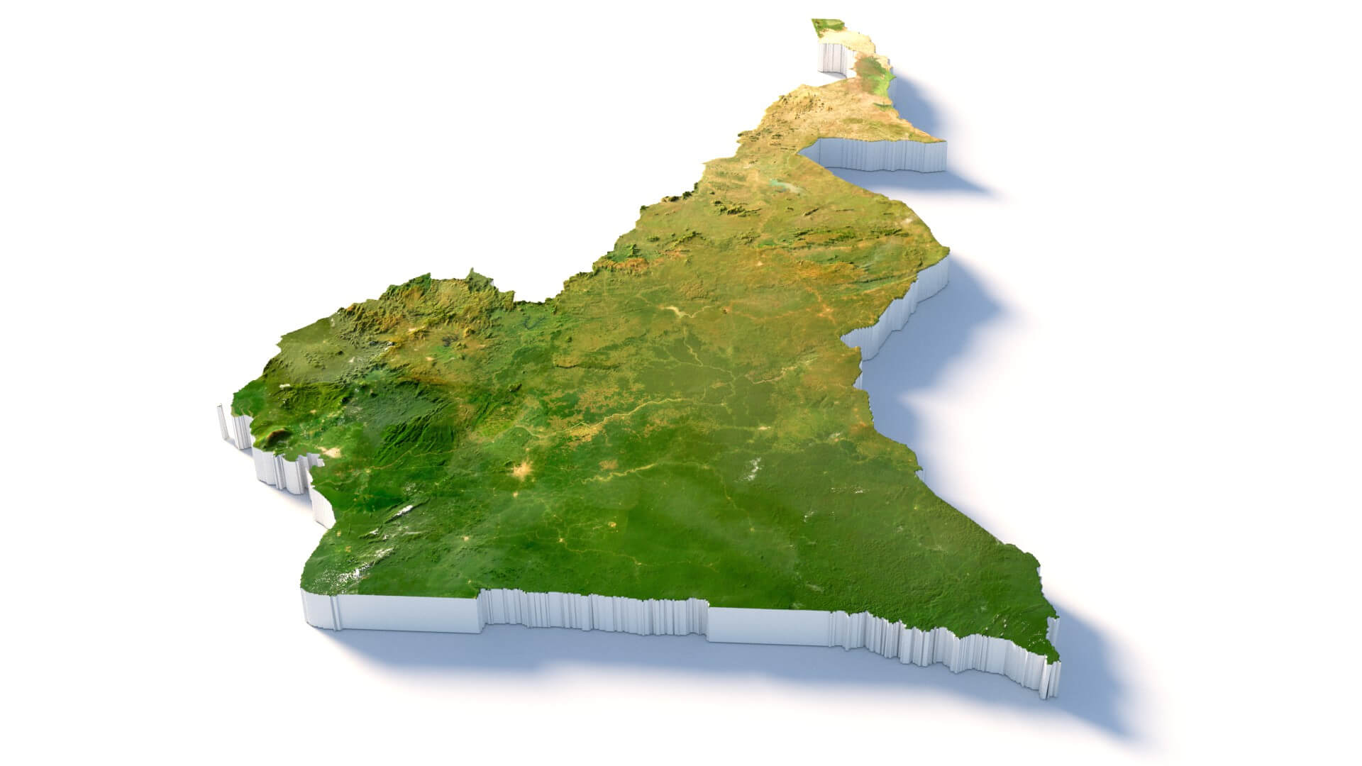 Cameroon Terrain Map - 3D Model by 3dstudio