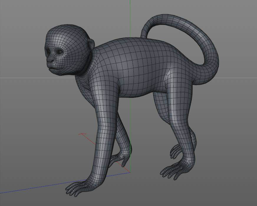 Capuchin Monkey - 3D Model by 3dstudio