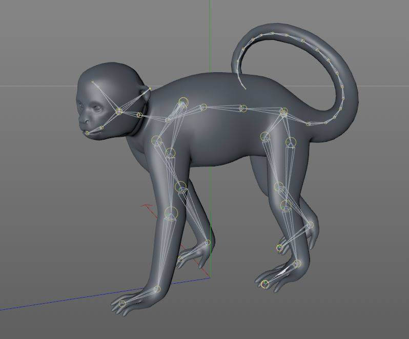 Capuchin Monkey - 3D Model by 3dstudio