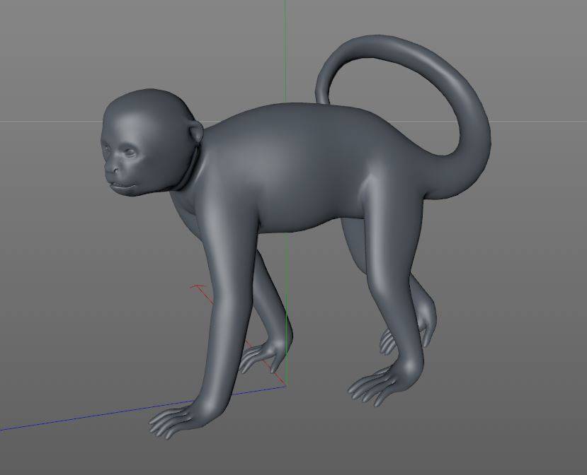 Capuchin Monkey - 3D Model by 3dstudio