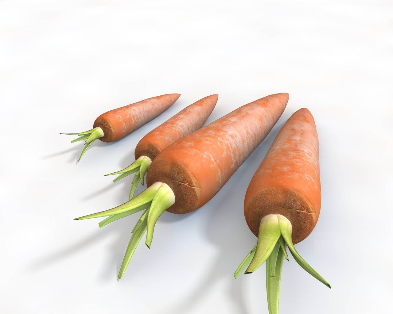 Carrots - 3D Model by 3dstudio