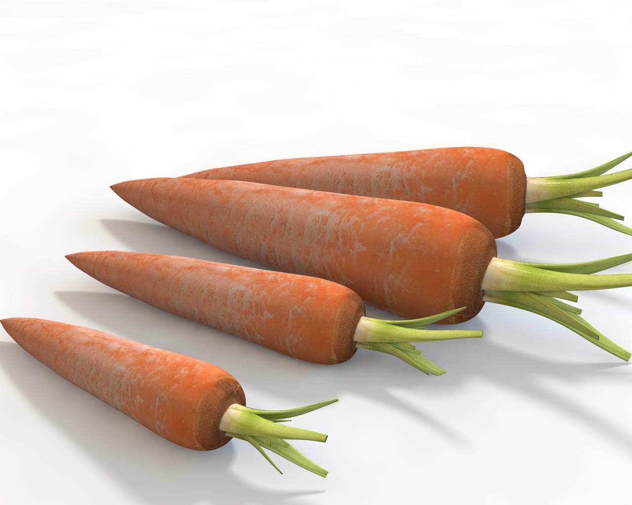 Carrots - 3D Model by 3dstudio
