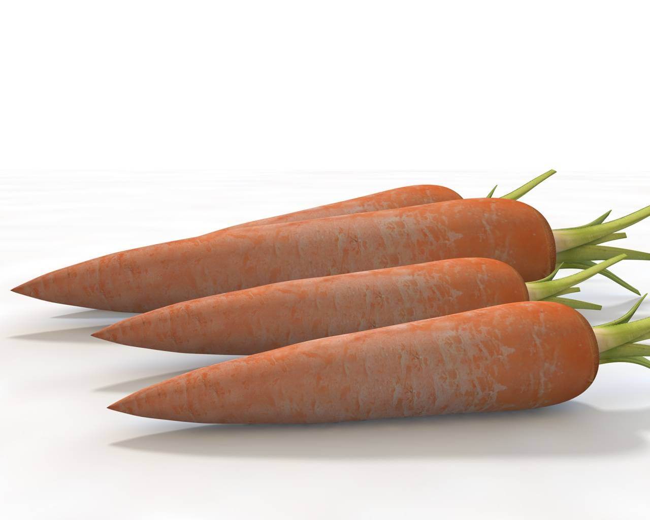 Carrots - 3D Model by 3dstudio