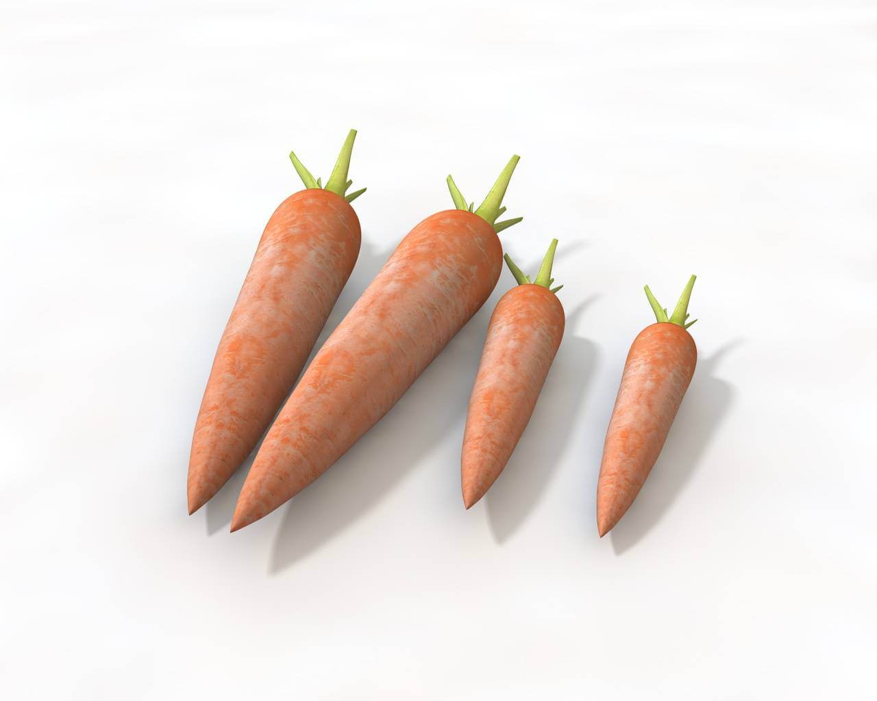 Carrots - 3D Model by 3dstudio