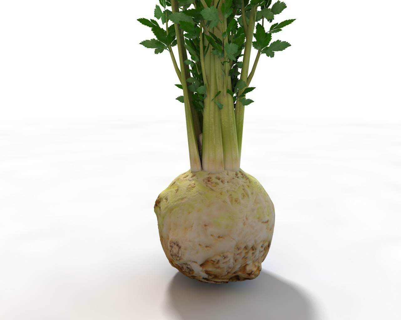 Celery - 3D Model by 3dstudio