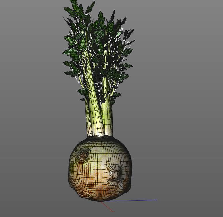 Celery - 3D Model by 3dstudio