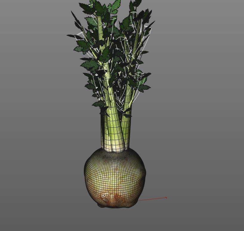 Celery - 3D Model by 3dstudio