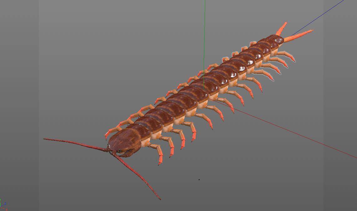 Centipede - 3D Model by 3dstudio