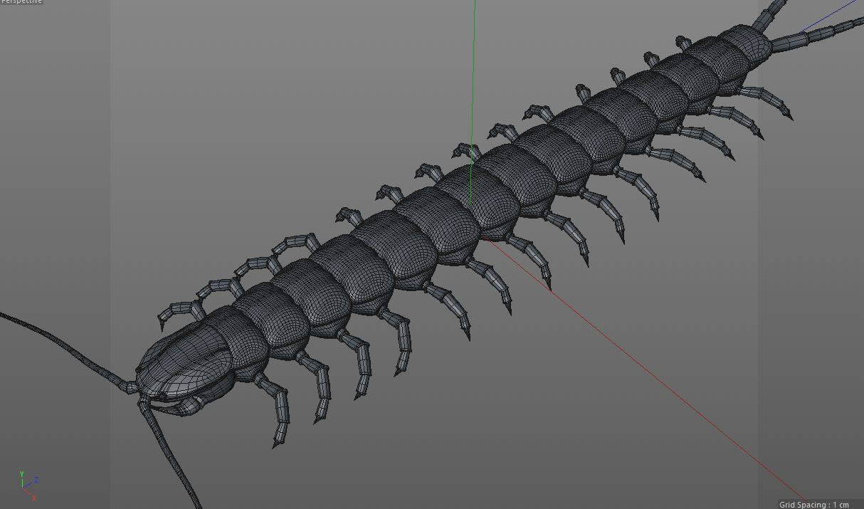 Centipede - 3D Model by 3dstudio