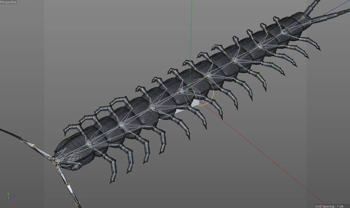 Centipede - 3D Model by 3dstudio