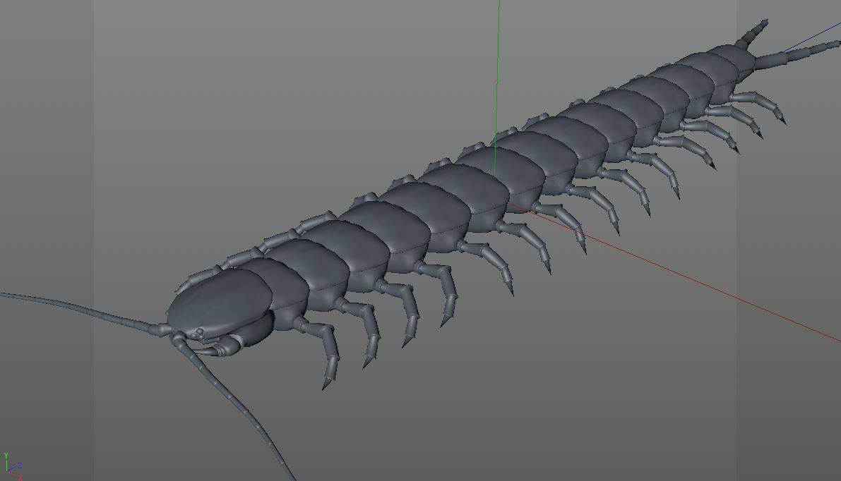 Centipede - 3D Model by 3dstudio
