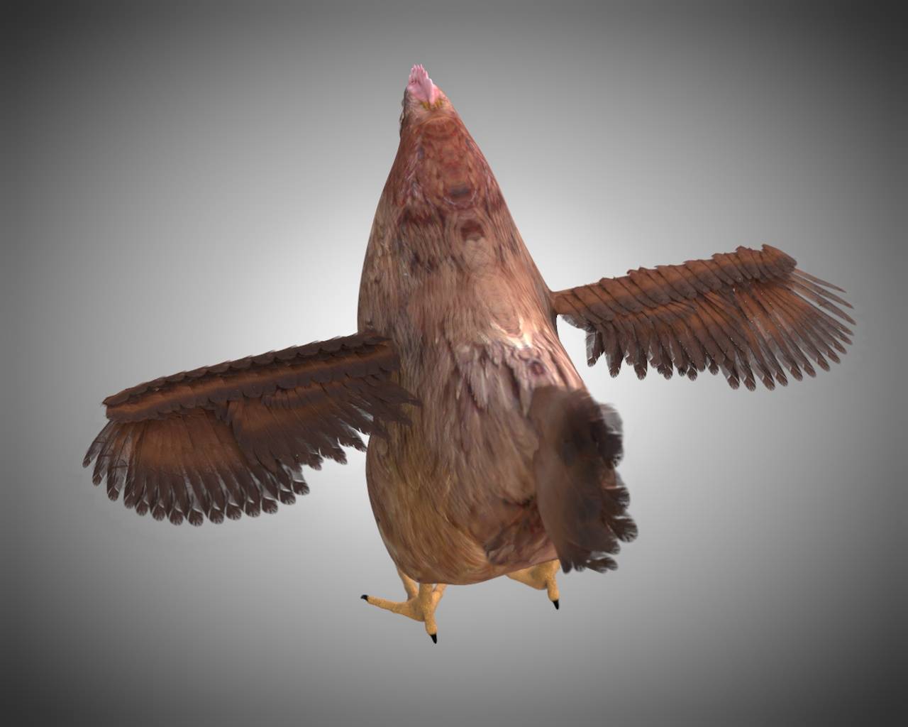Chicken - 3D Model by 3dstudio