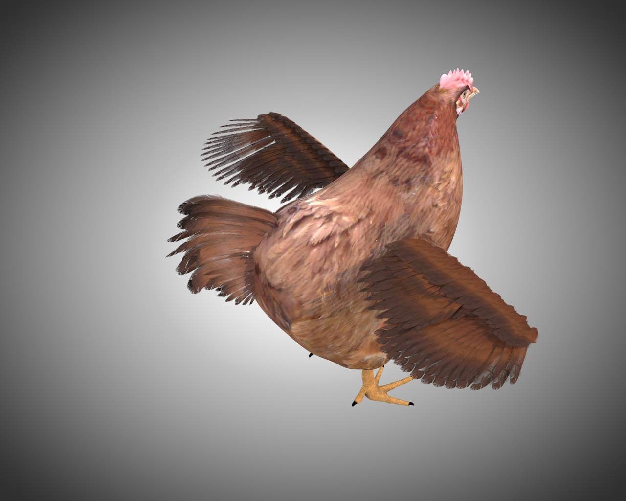 Chicken - 3D Model by 3dstudio