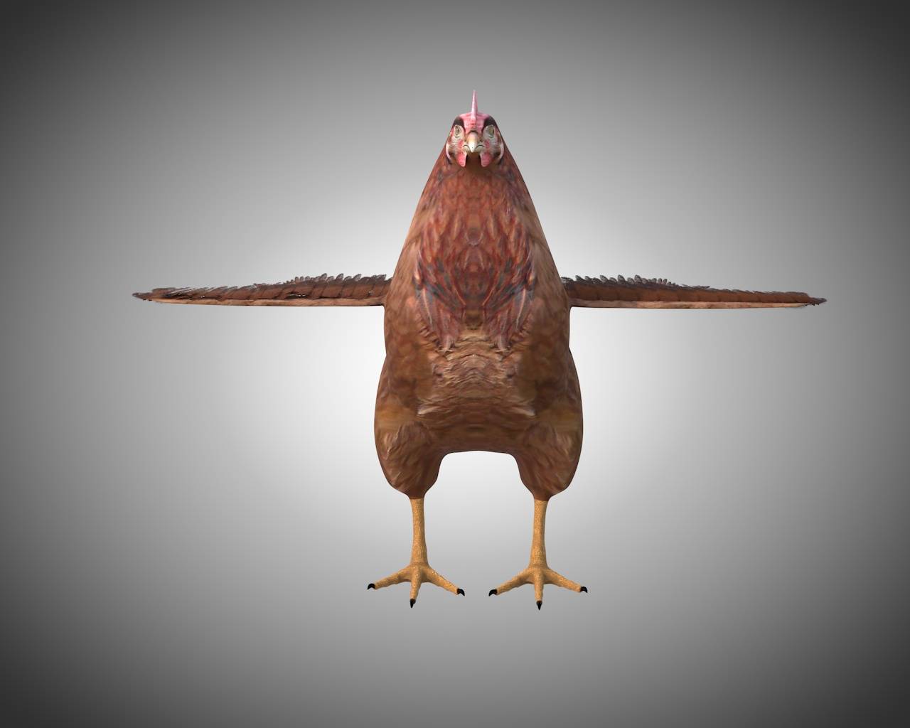 Chicken - 3D Model by 3dstudio