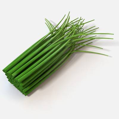 Chives - 3D Model by 3dstudio