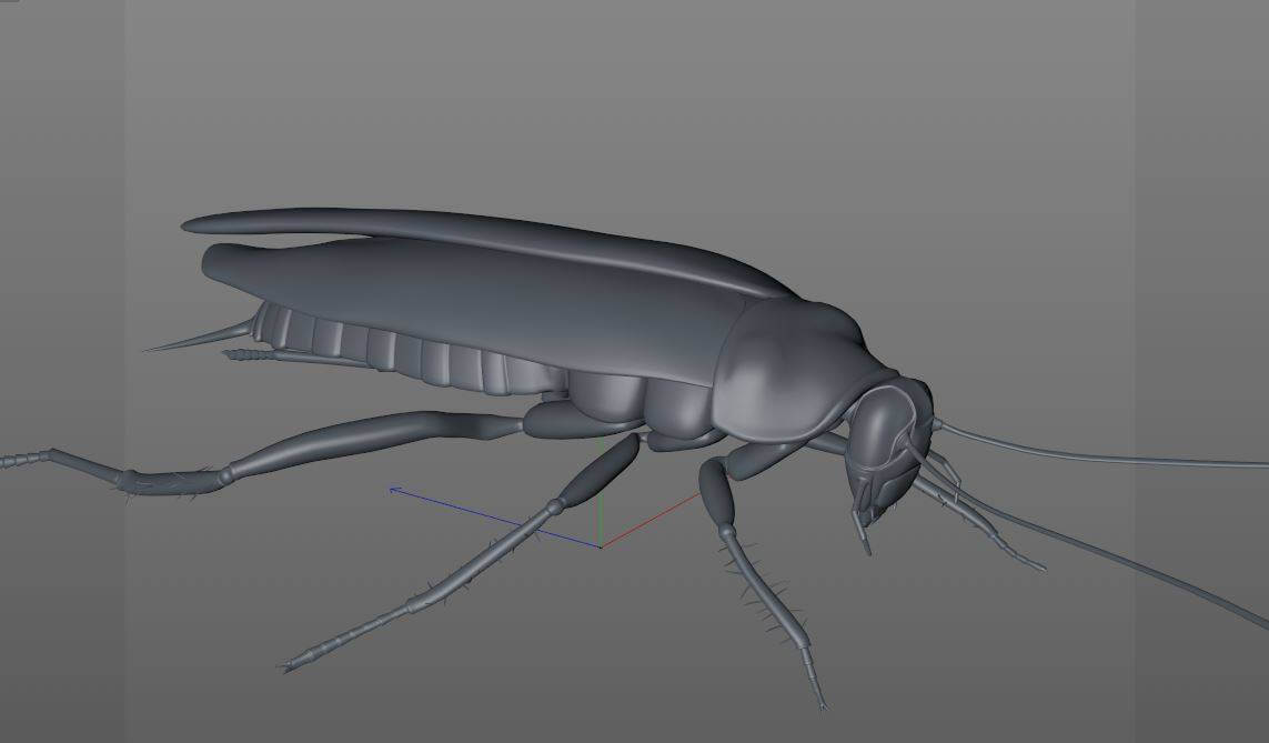 Cockroach - 3D Model by 3dstudio