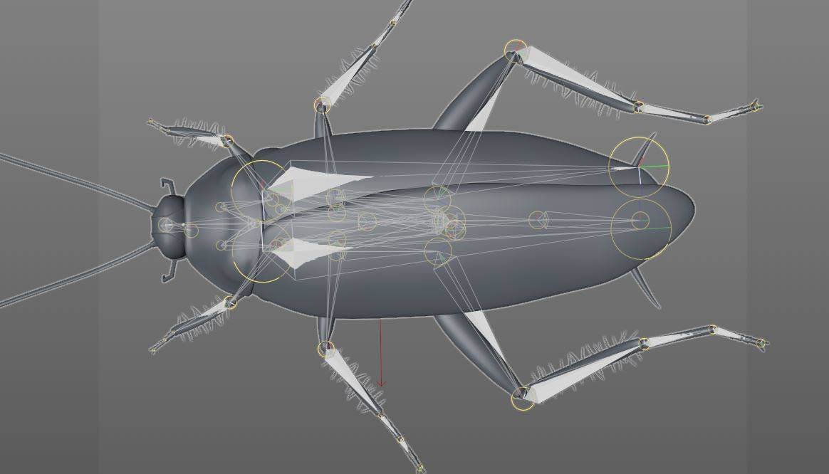 Cockroach - 3D Model by 3dstudio