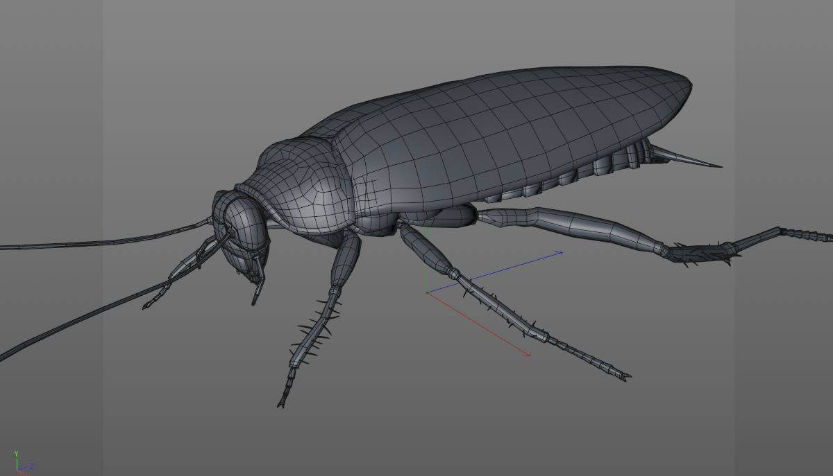 Cockroach - 3D Model by 3dstudio