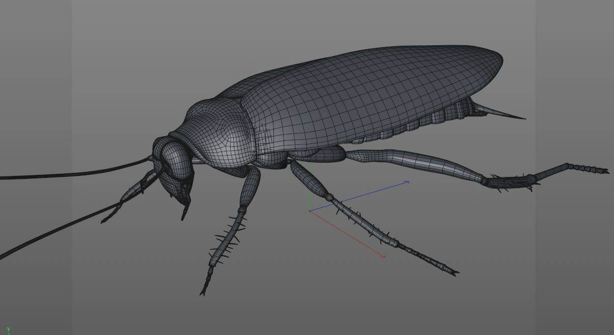 Cockroach - 3D Model by 3dstudio