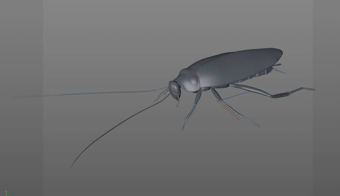 Cockroach - 3D Model by 3dstudio