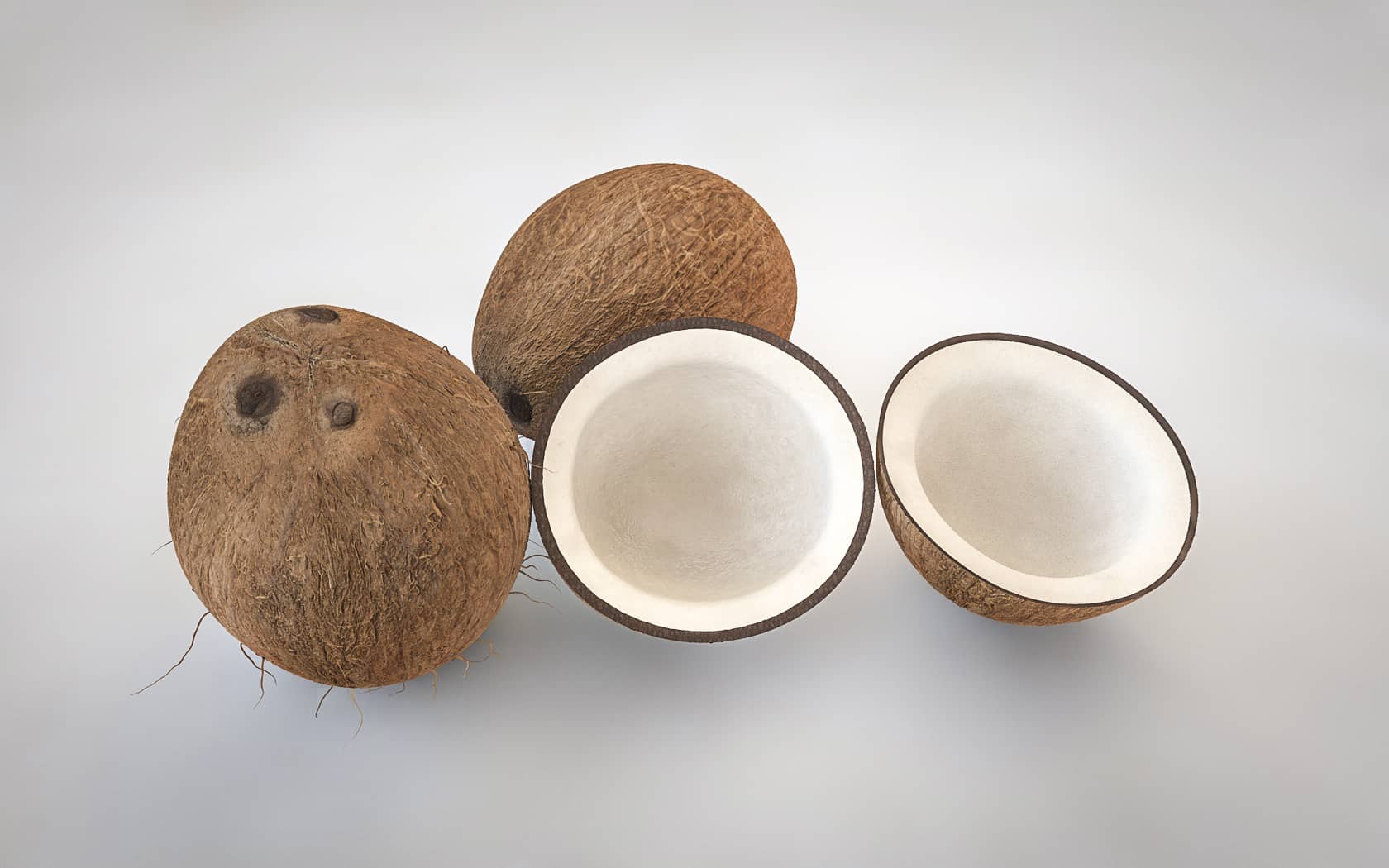 Coconut - 3D Model by 3dstudio