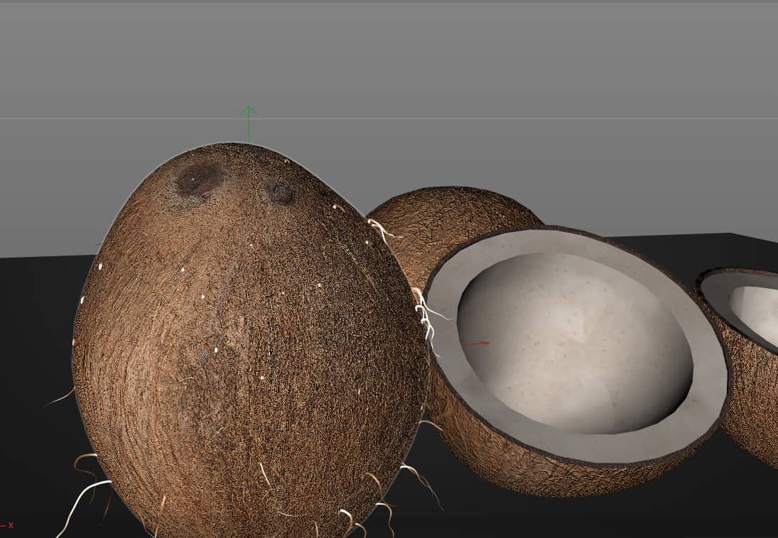 Coconut - 3D Model by 3dstudio