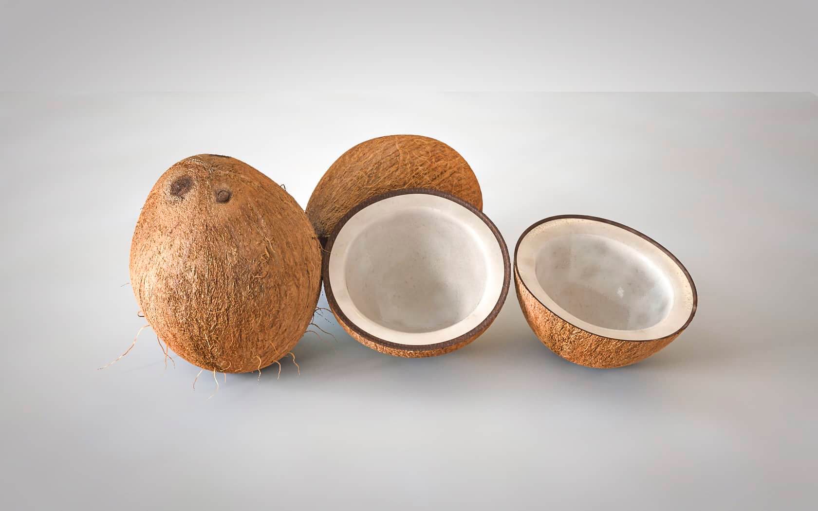 Coconut - 3D Model by 3dstudio