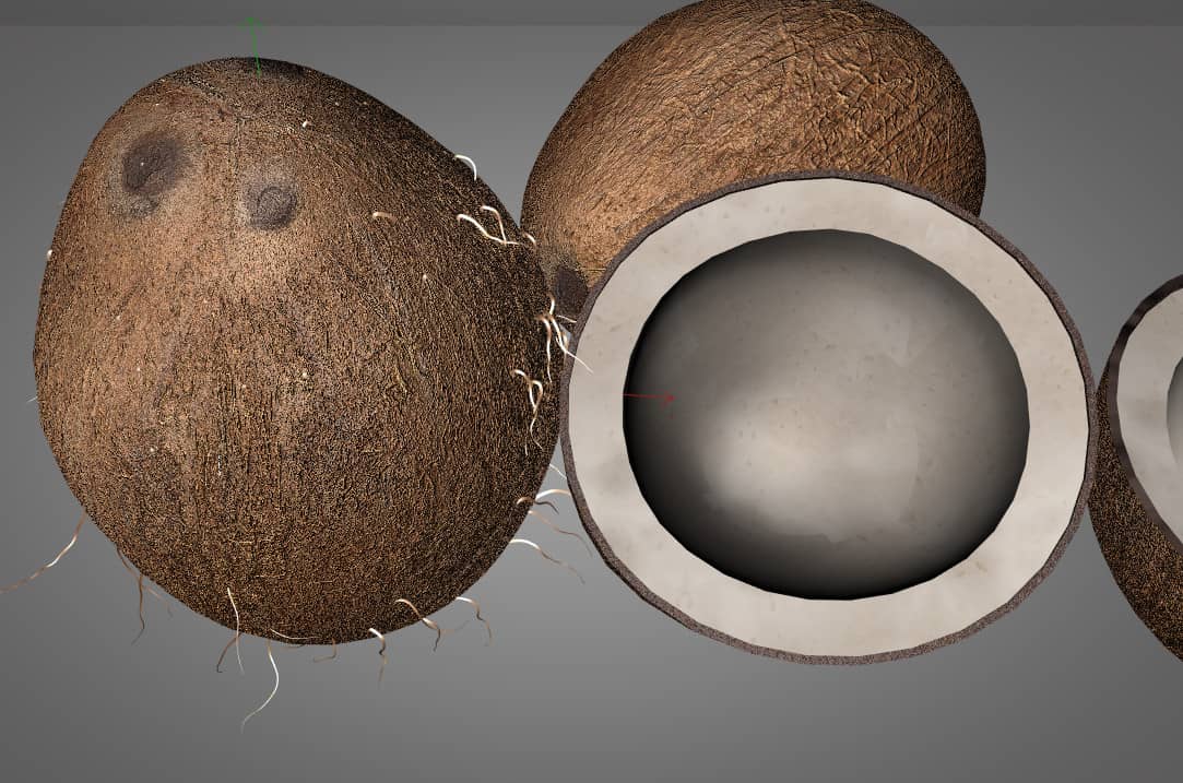Coconut - 3D Model by 3dstudio