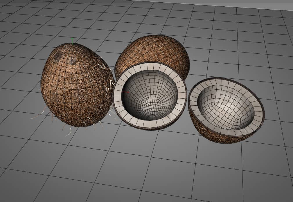 Coconut - 3D Model by 3dstudio