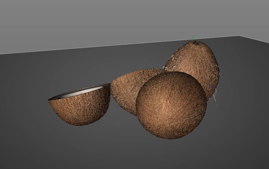 Coconut - 3D Model by 3dstudio