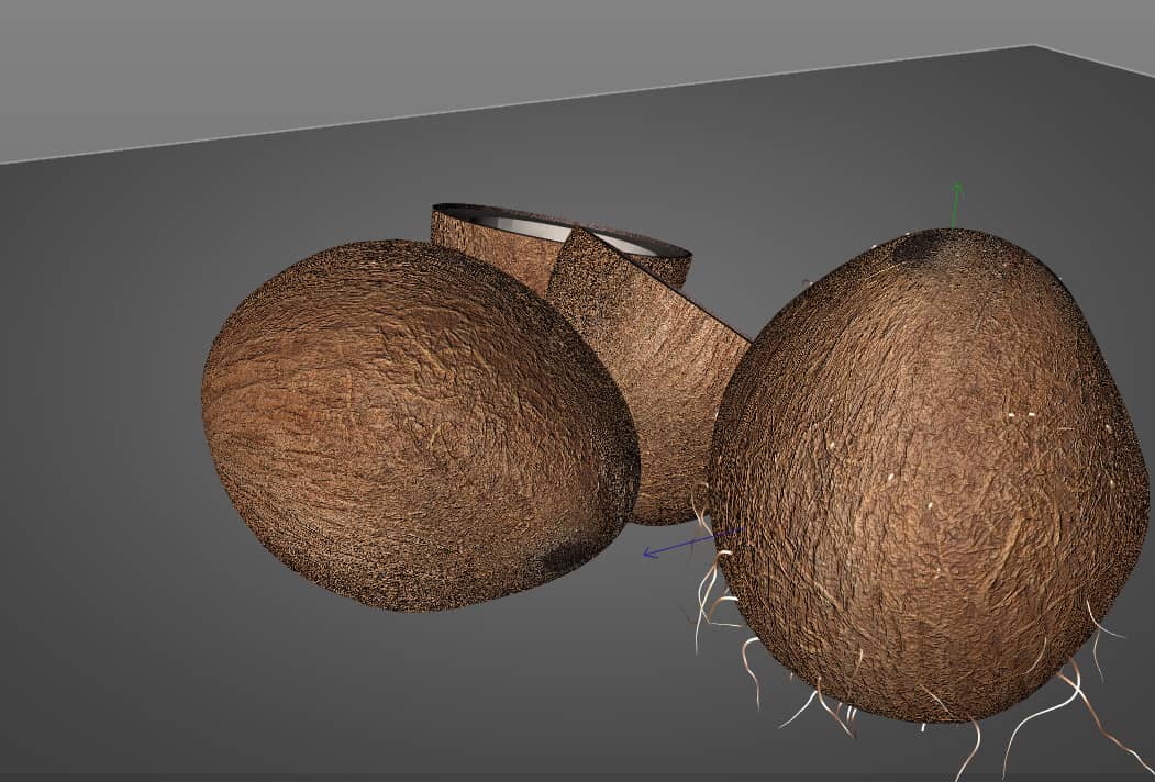Coconut - 3D Model by 3dstudio