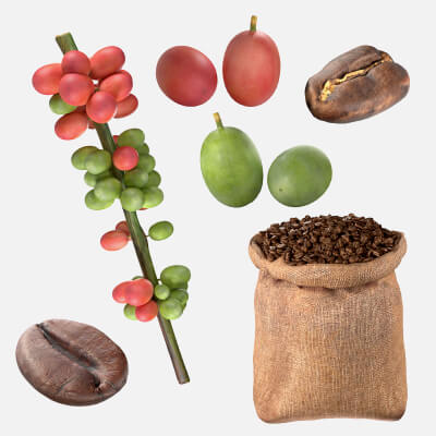 Coffee Bean Set - 3D Model by 3dstudio