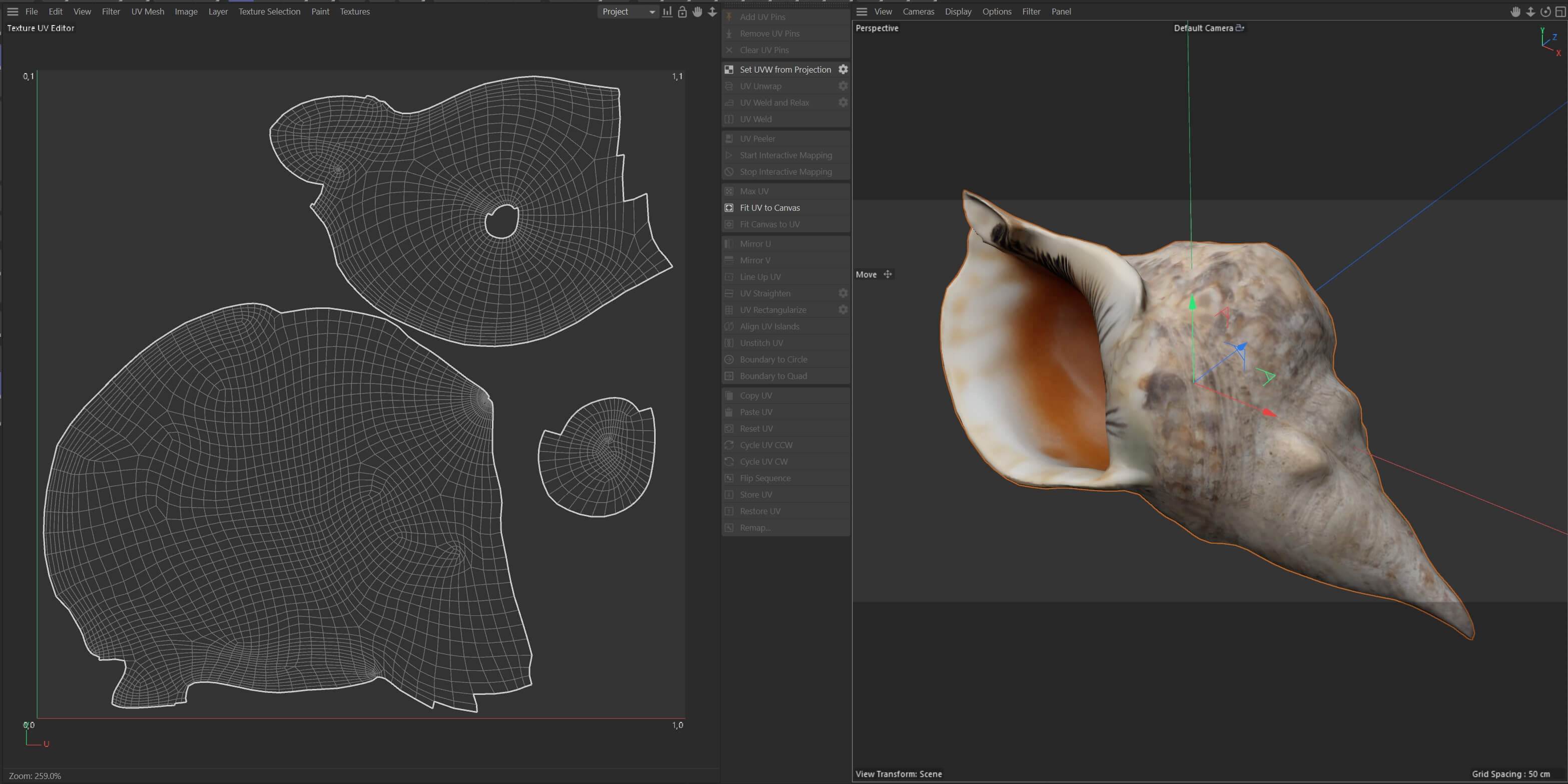 Conch Shell V1 - 3D Model by 3dstudio