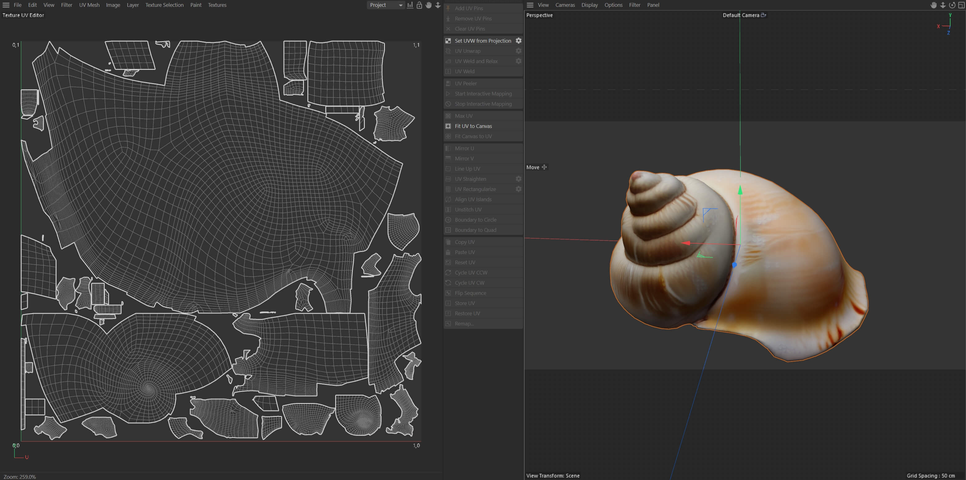 Conch Shell V6 - 3D Model by 3dstudio