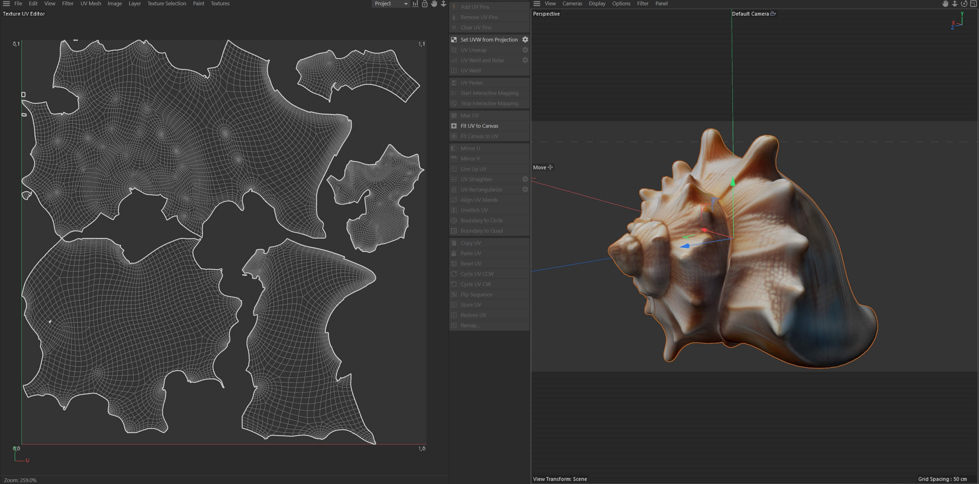 Conch Shell V8 - 3D Model by 3dstudio