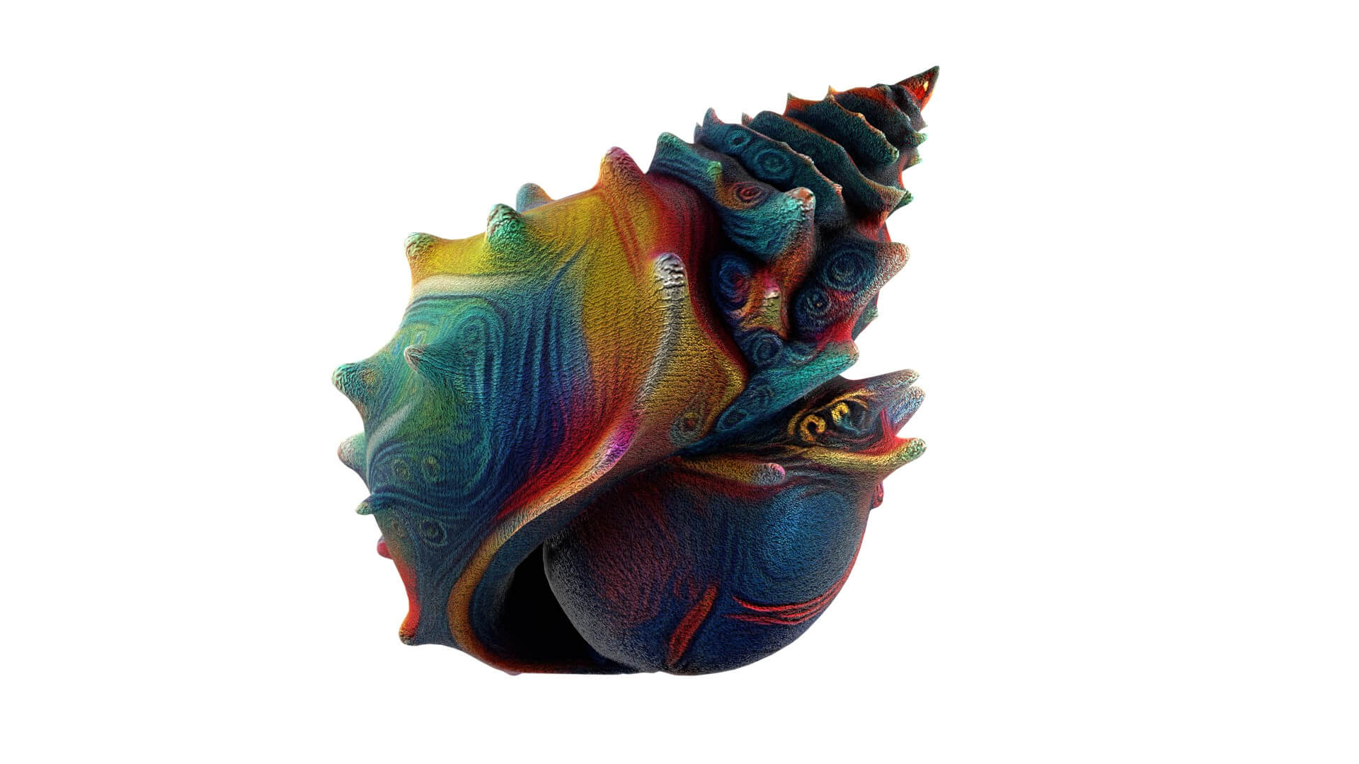 Conch Shell V9 - 3D Model by 3dstudio