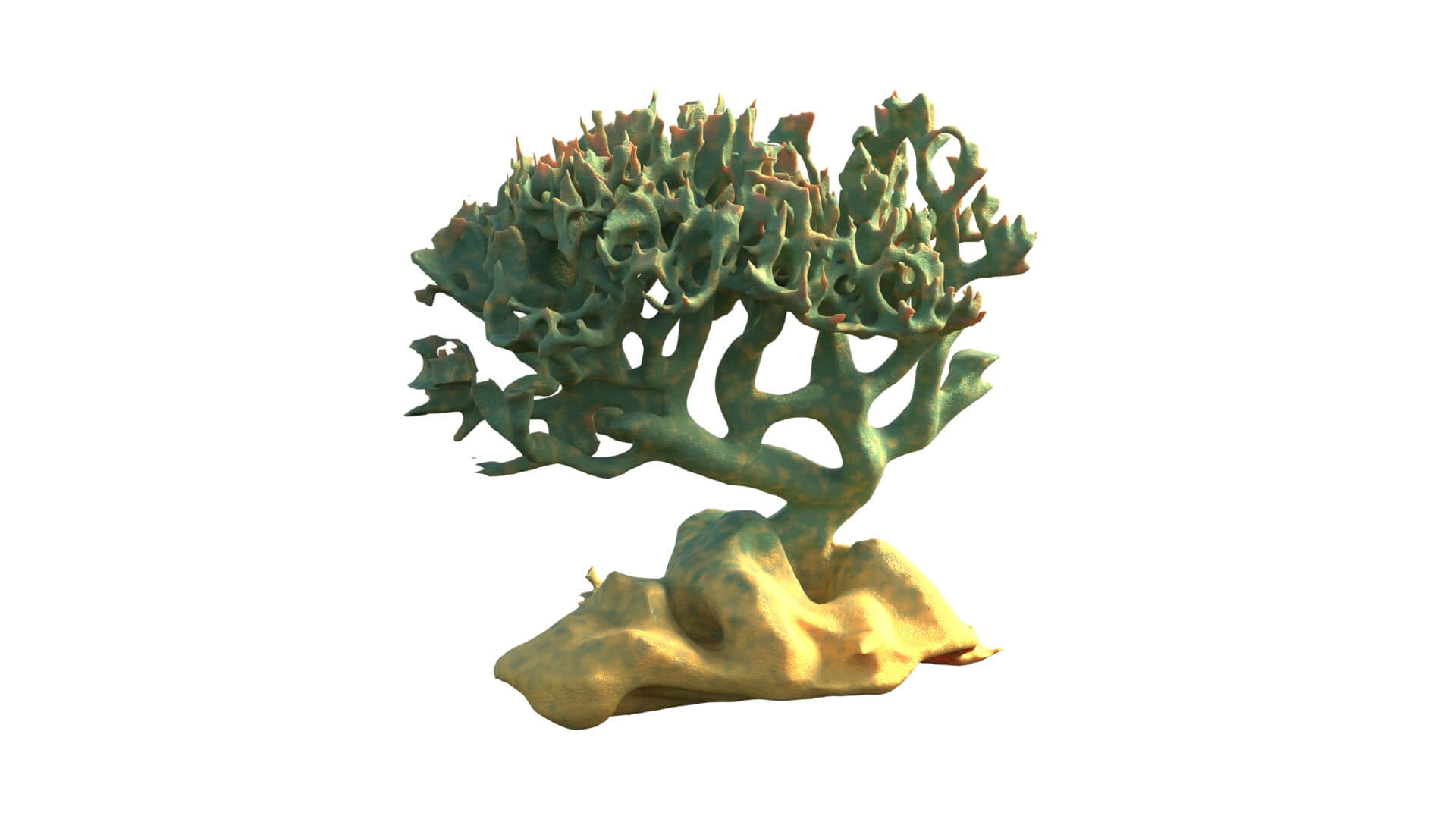 Coral Reef Collection - 3D Model by 3dstudio