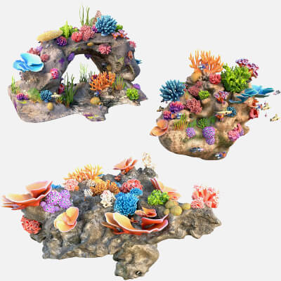 Coral Reef Rock Collection - 3D Model by 3dstudio