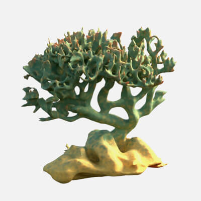 Coral Reef V6 - 3D Model by 3dstudio