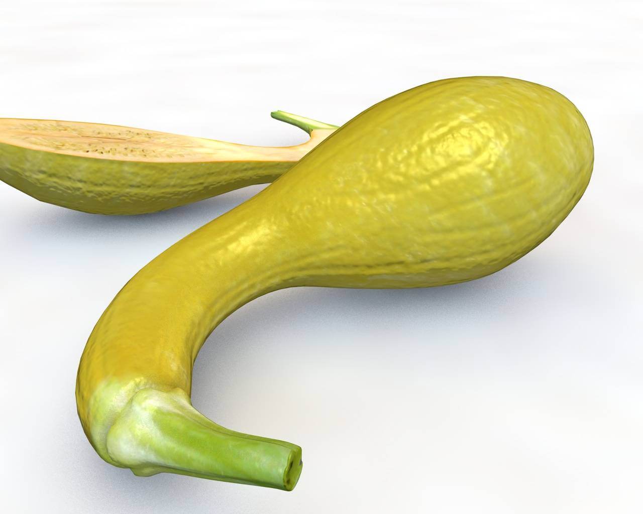 Crookneck Squash - 3D Model by 3dstudio