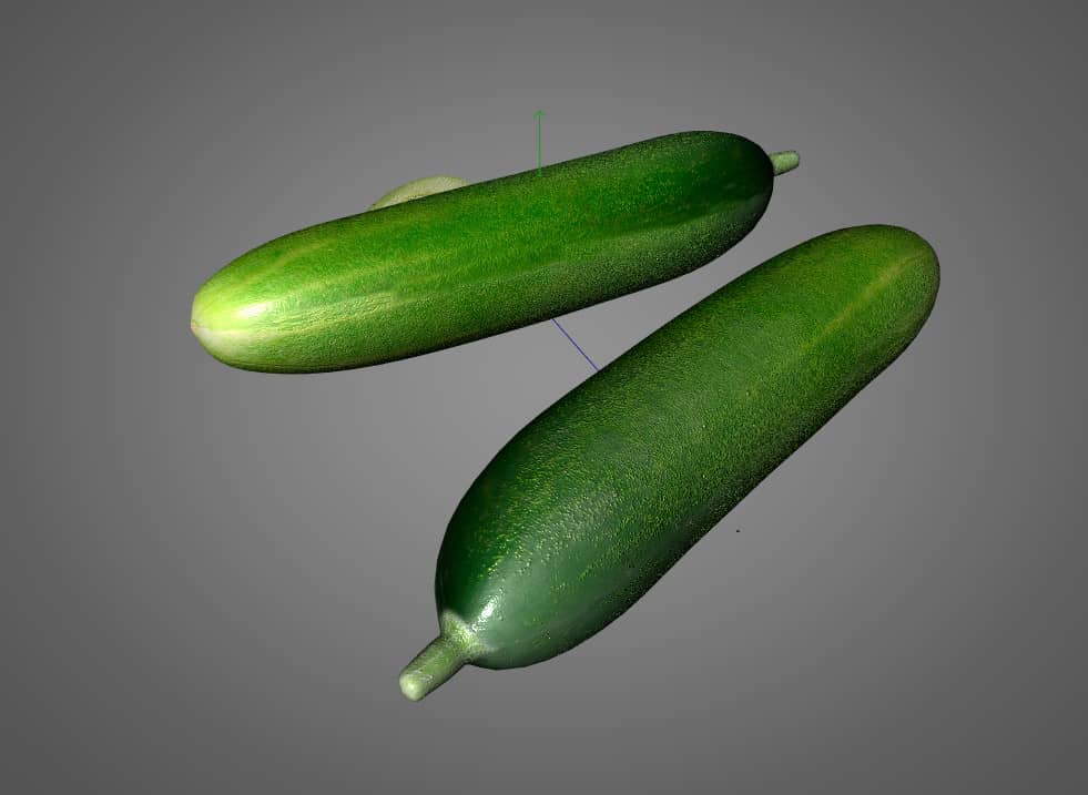 Cucumber - 3D Model by 3dstudio