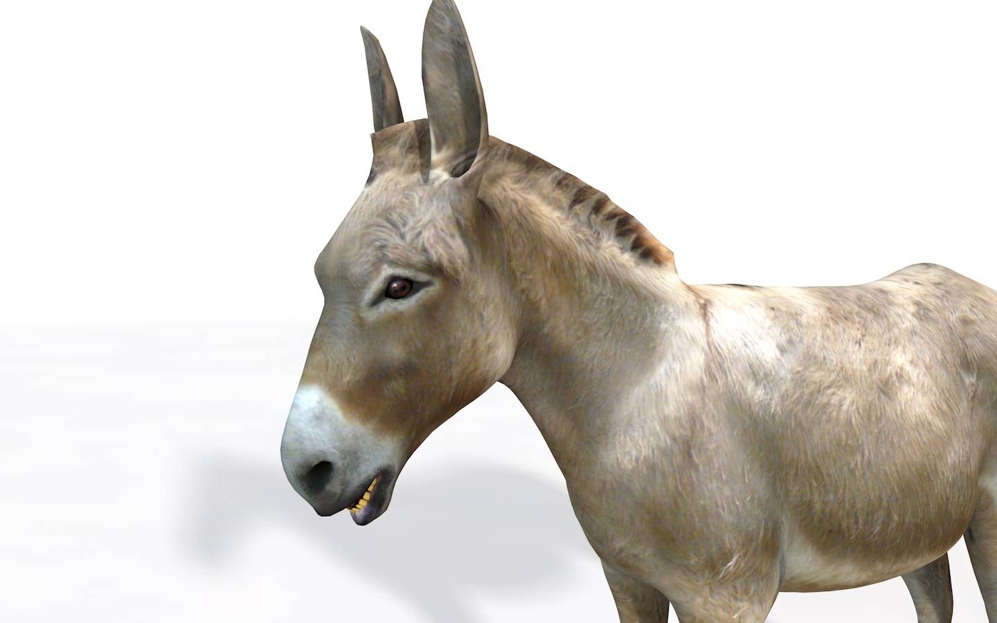 Donkey - 3D Model by 3dstudio