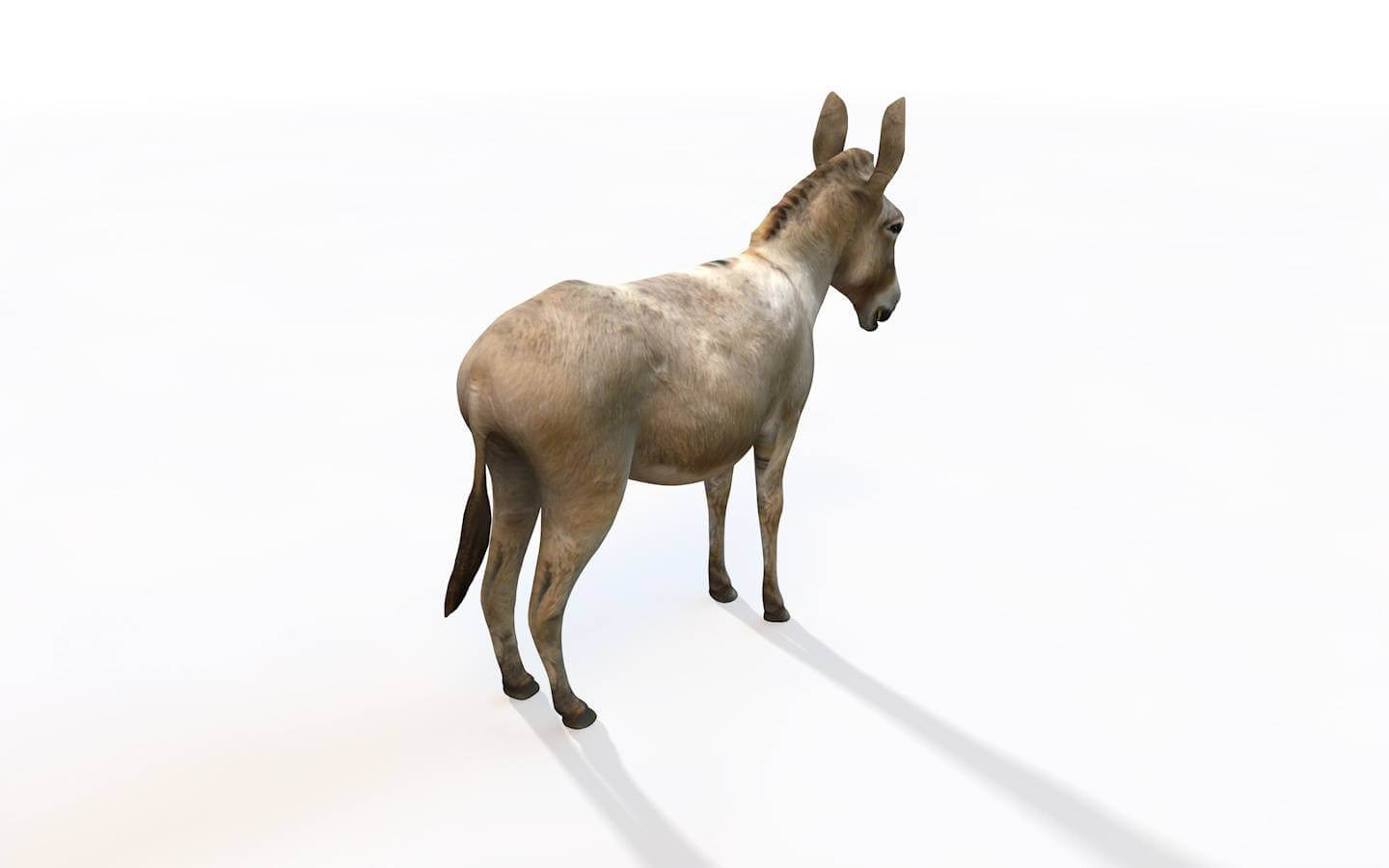 Donkey - 3D Model by 3dstudio
