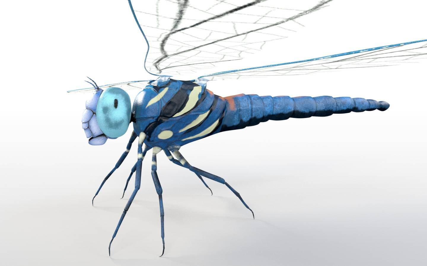 Dragonfly - 3D Model by 3dstudio