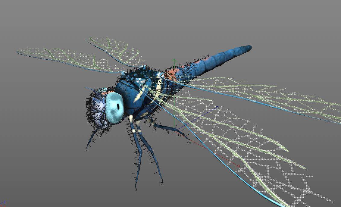 Dragonfly - 3D Model by 3dstudio